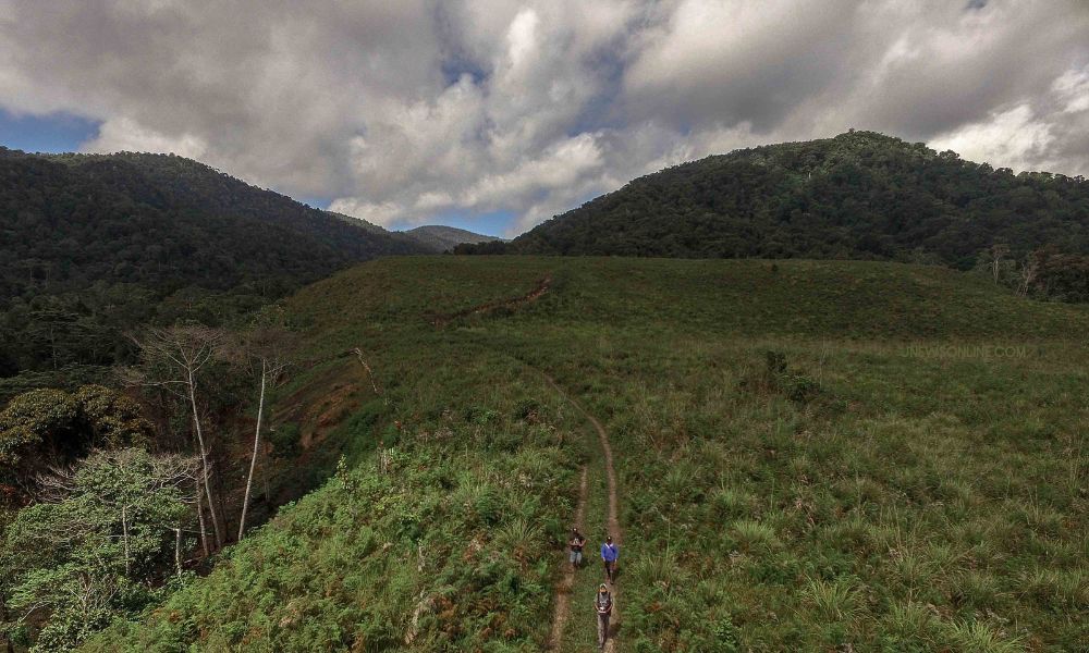 Kenalan dengan Taman Nasional Lore Lindu yang Ada di Sulawesi